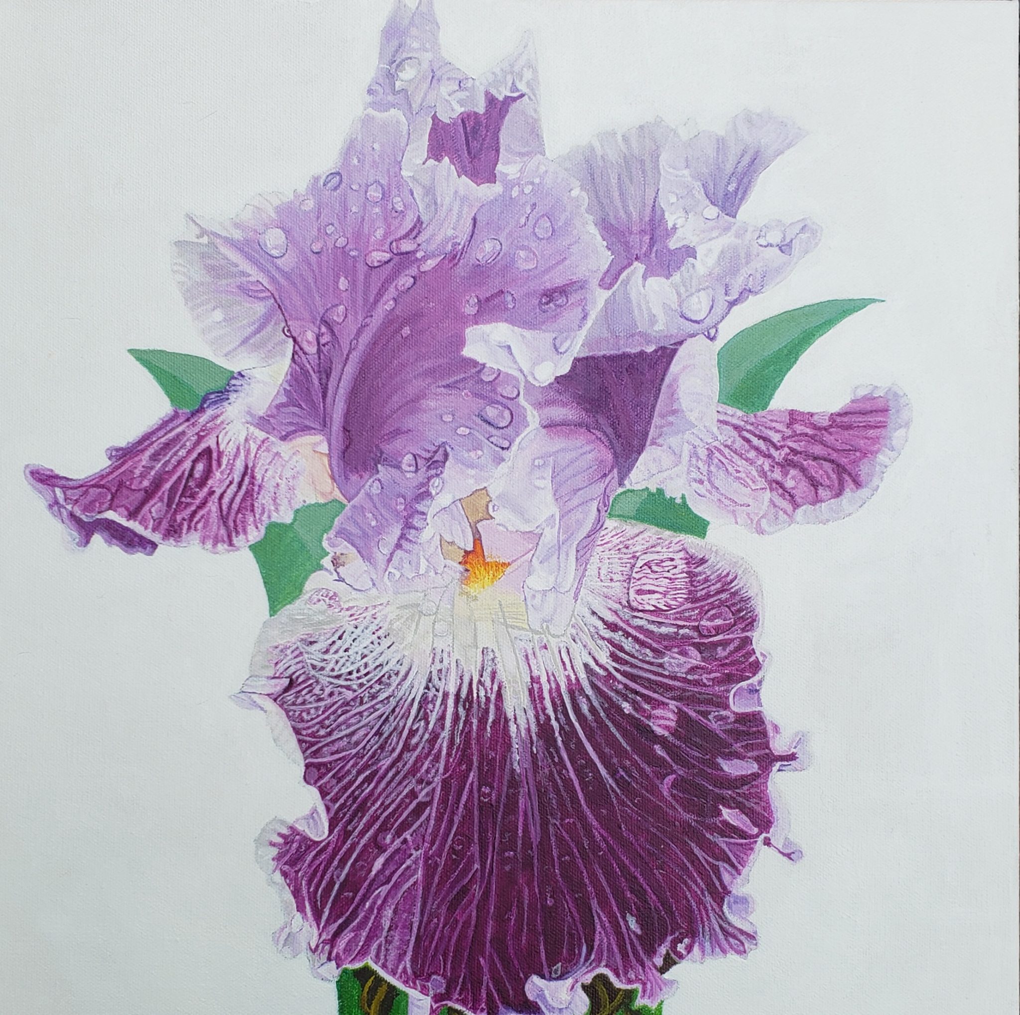 Gallery – Adrian Bangerter