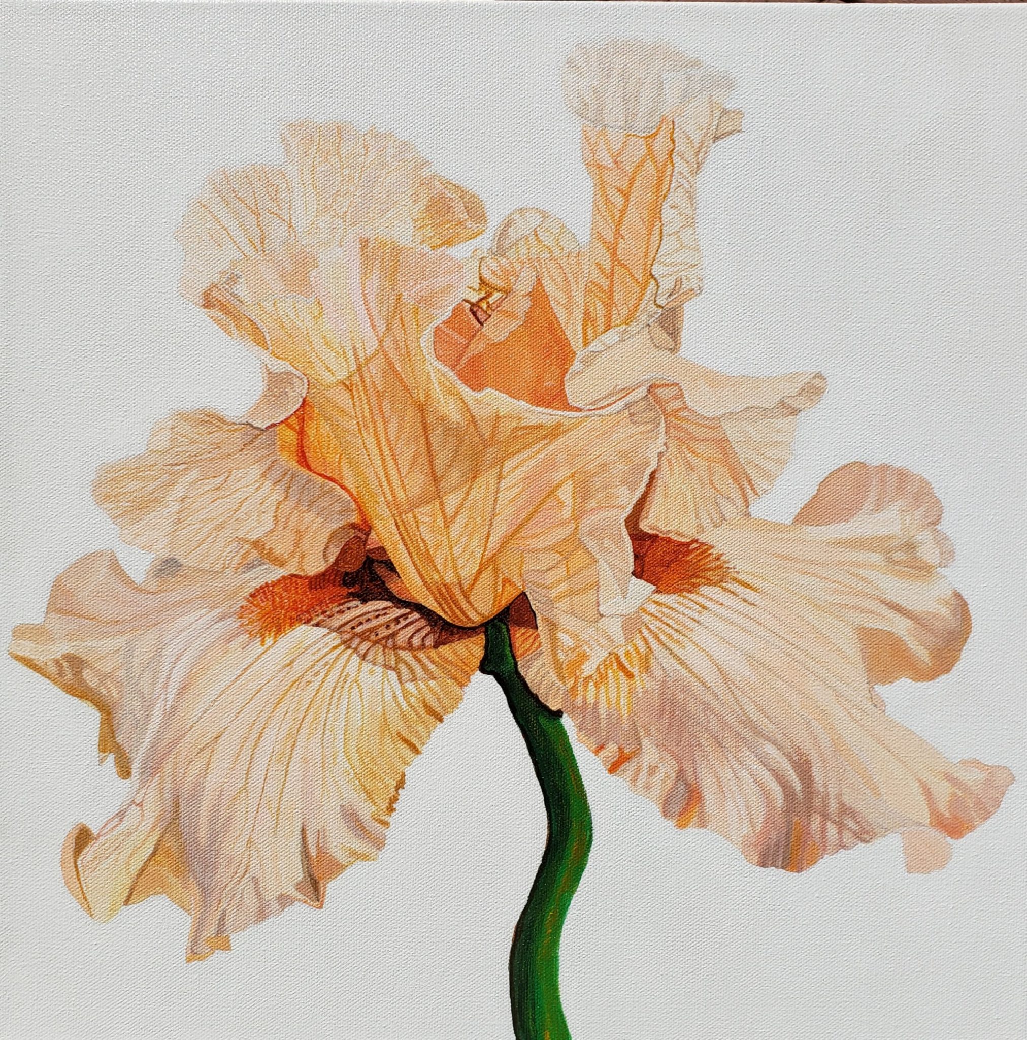 Gallery – Adrian Bangerter