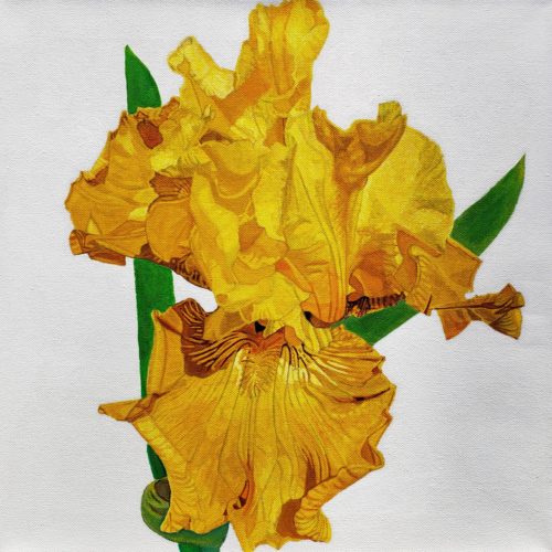 Gallery – Adrian Bangerter