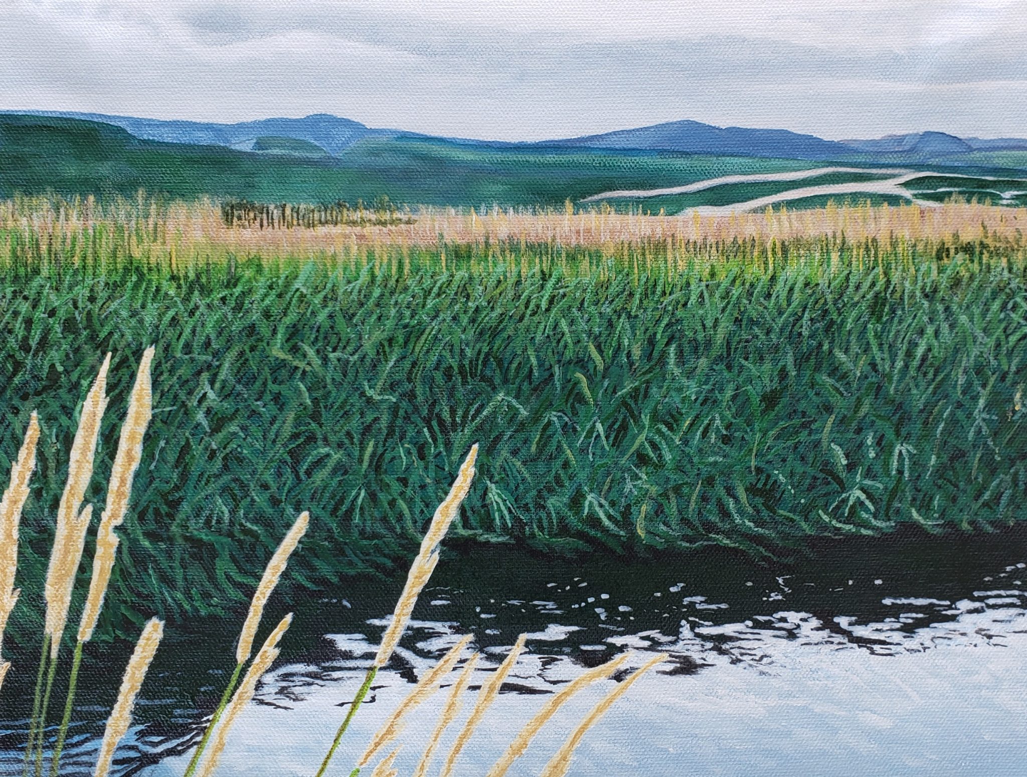 Gallery – Adrian Bangerter