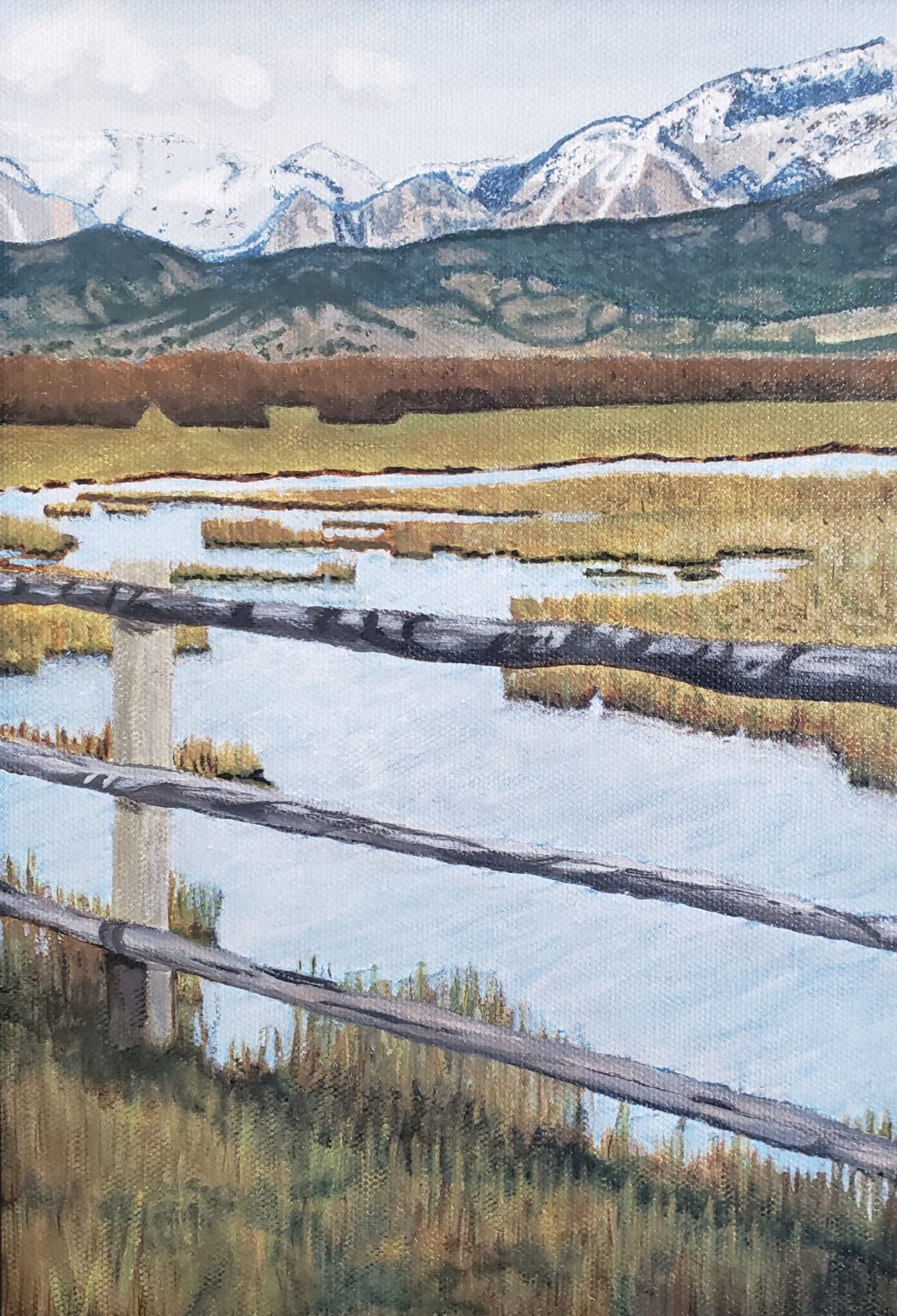 Gallery – Adrian Bangerter