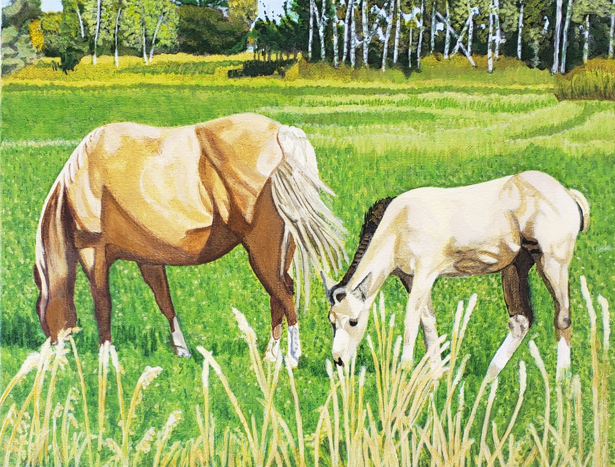 Gallery – Adrian Bangerter